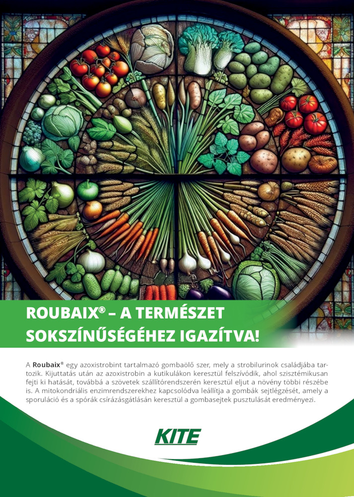 Roubaix - Kiadványok - KITE Zrt.