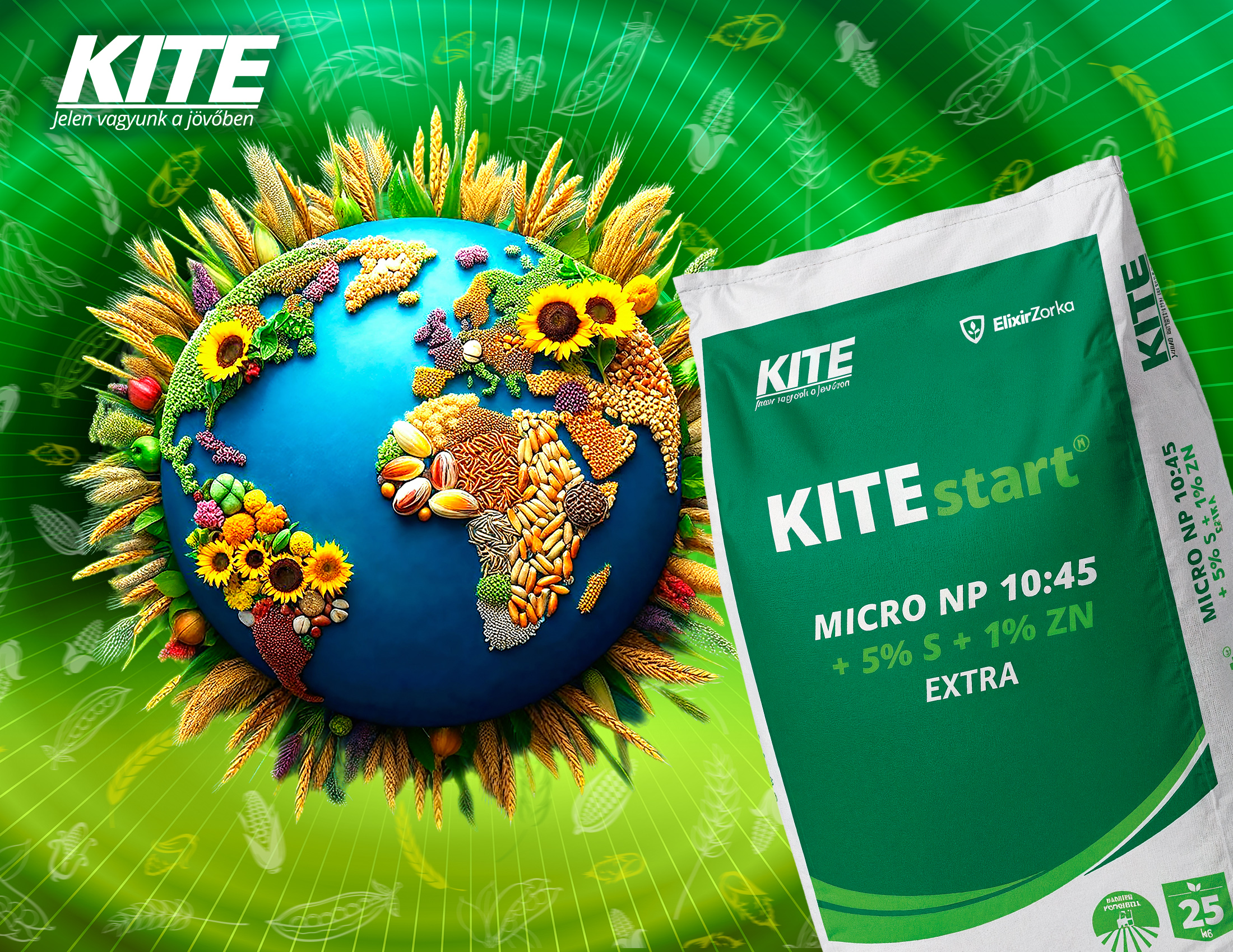 KITEstart® Micro NP extra - Napraforgó - KITE Zrt.