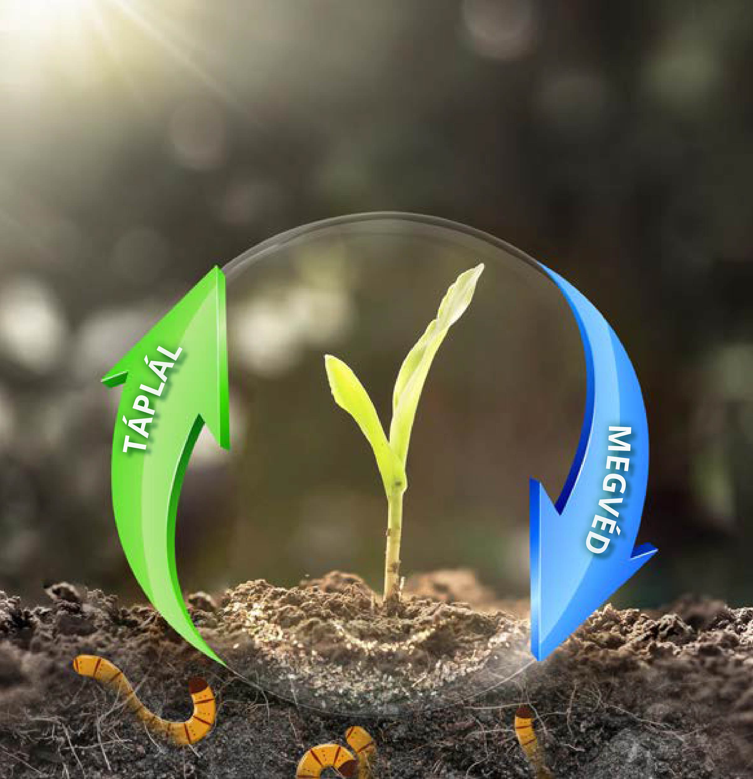 Microsed Geo - Termésnövelő anyagok - KITE Zrt.