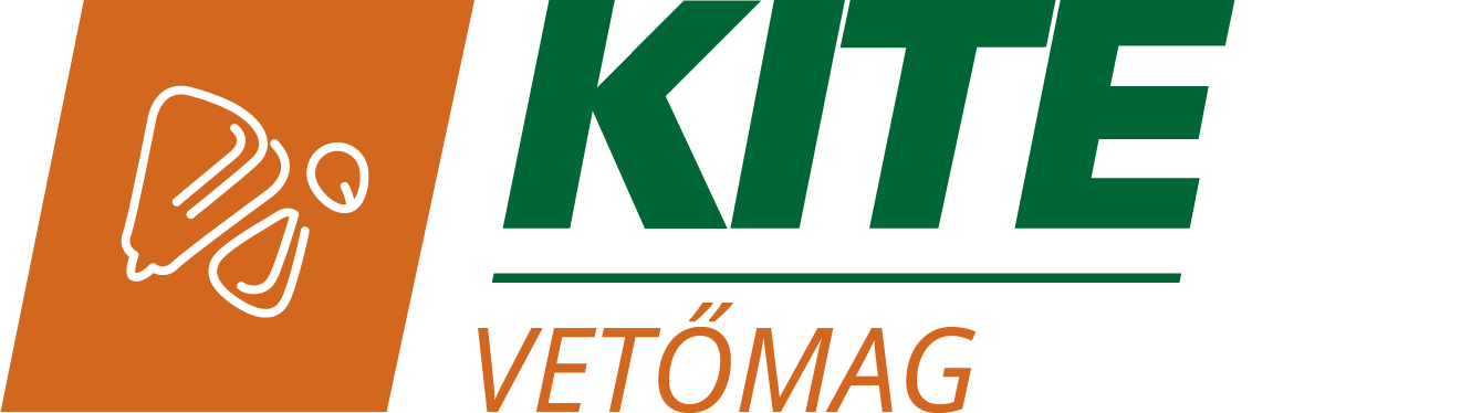 A KITE tevékenysége - KITE Zrt.